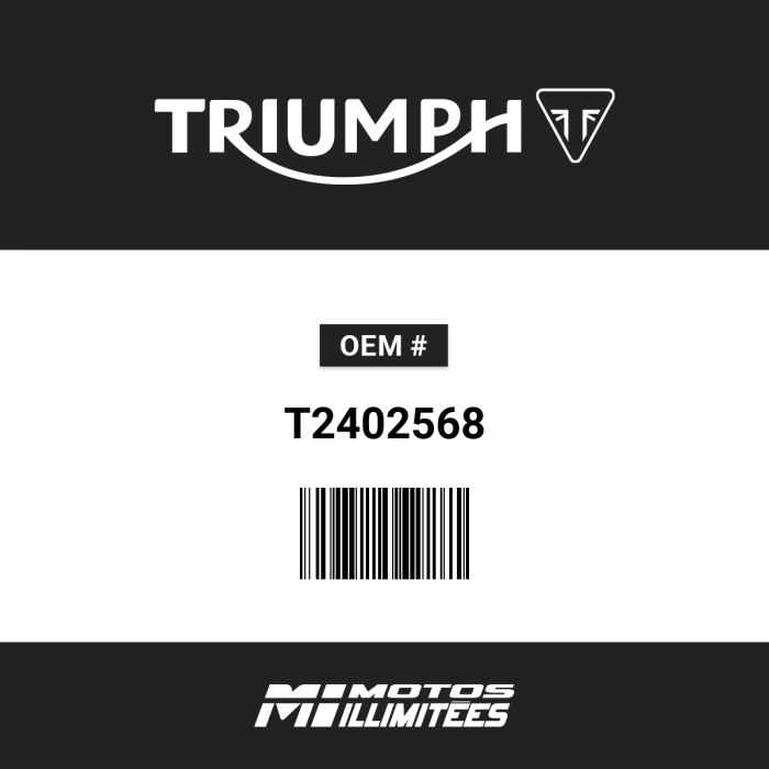 Triumph Decal Fuel Tank - T2402568 | FortNine Canada