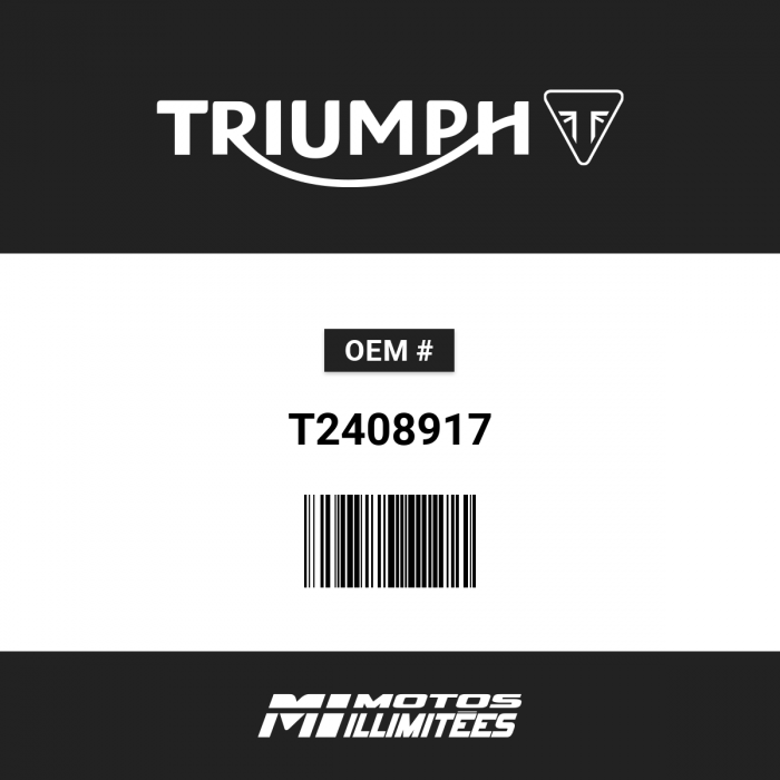 Triumph Decal Fuel Tank Left - T2408917 | FortNine Canada