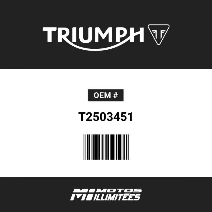 Triumph Instrument Pack TFT Mph UK - T2503451 | FortNine Canada