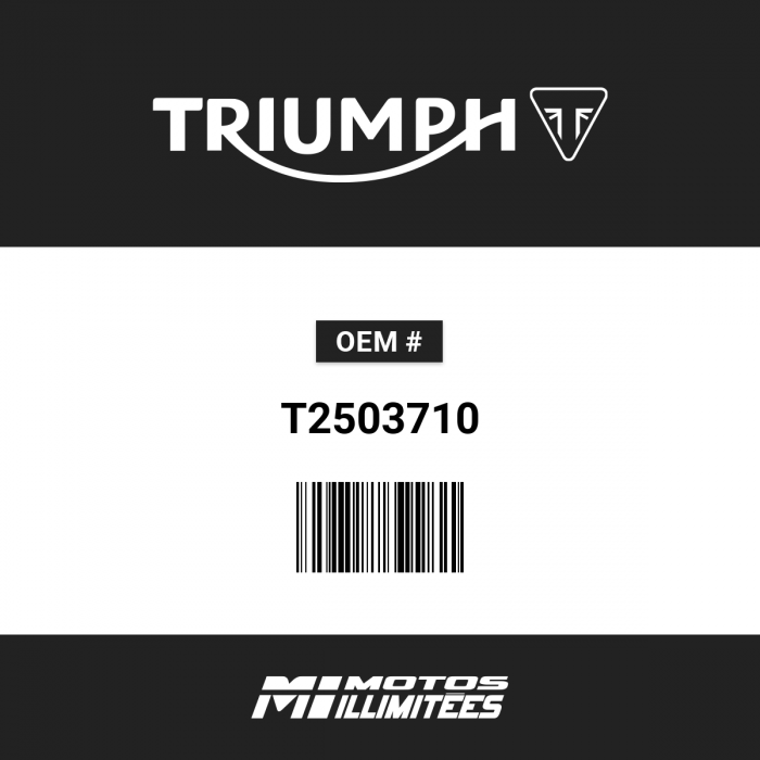 Triumph Instrument Pack - T2503710 | FortNine Canada