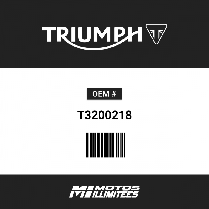 Triumph Bolt M8 X 20 Silver Enc - T3200218 | FortNine Canada