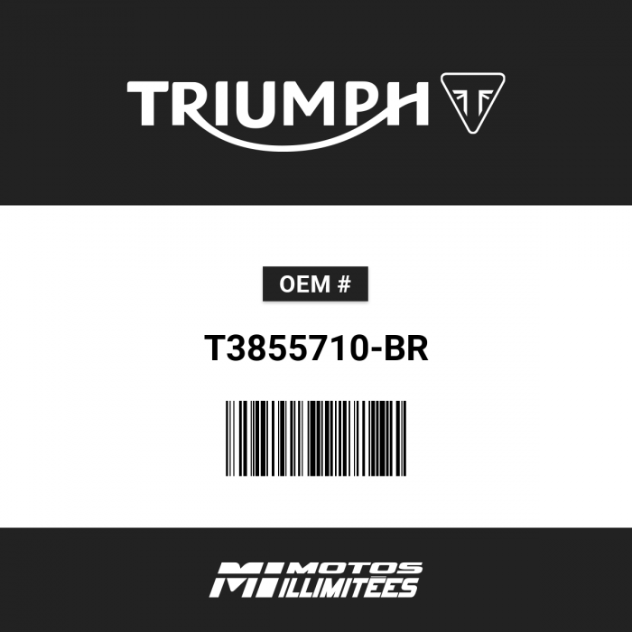 Triumph Service Record Book 10K - T3855710-BR | FortNine Canada