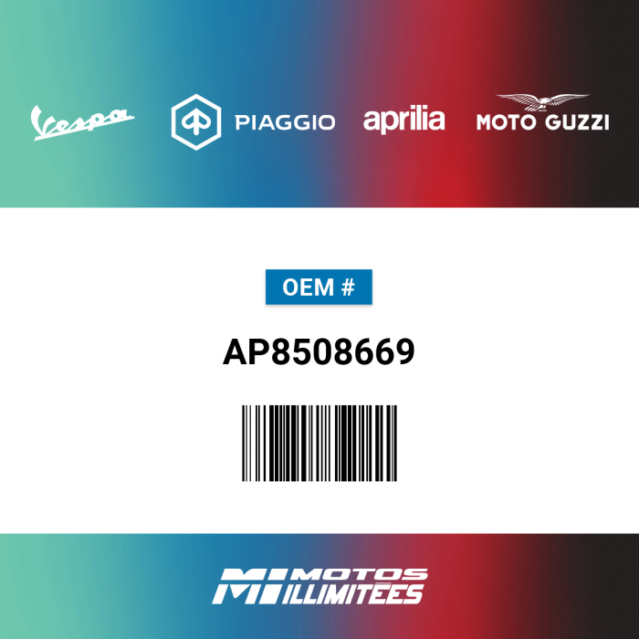 Piaggio Roller D3X21.8 - AP8508669 | FortNine