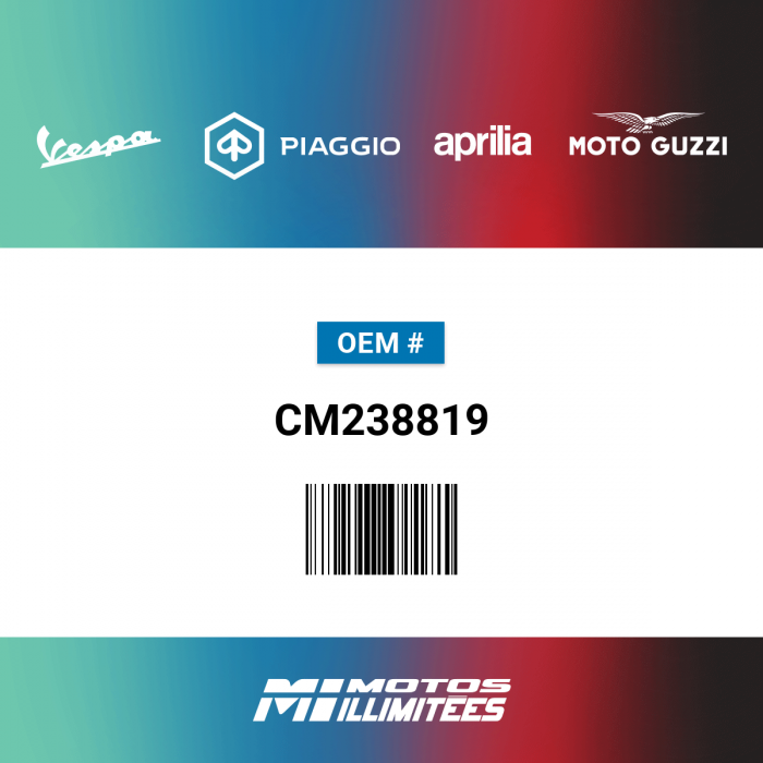 Piaggio Valve Tablet 1.950 - CM238819 | FortNine Canada