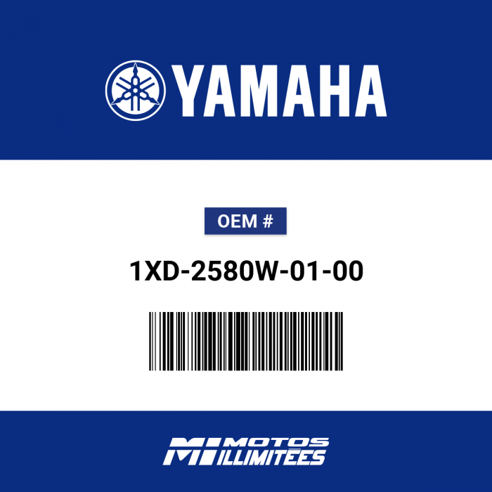 Yamaha Caliper Assembly Rear - 1XD-2580W-01-00 | FortNine Canada